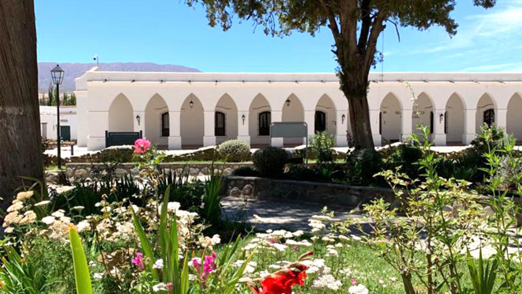 Blog: Qué hacer en Cachi, Cachi Salta | ESTILO DV