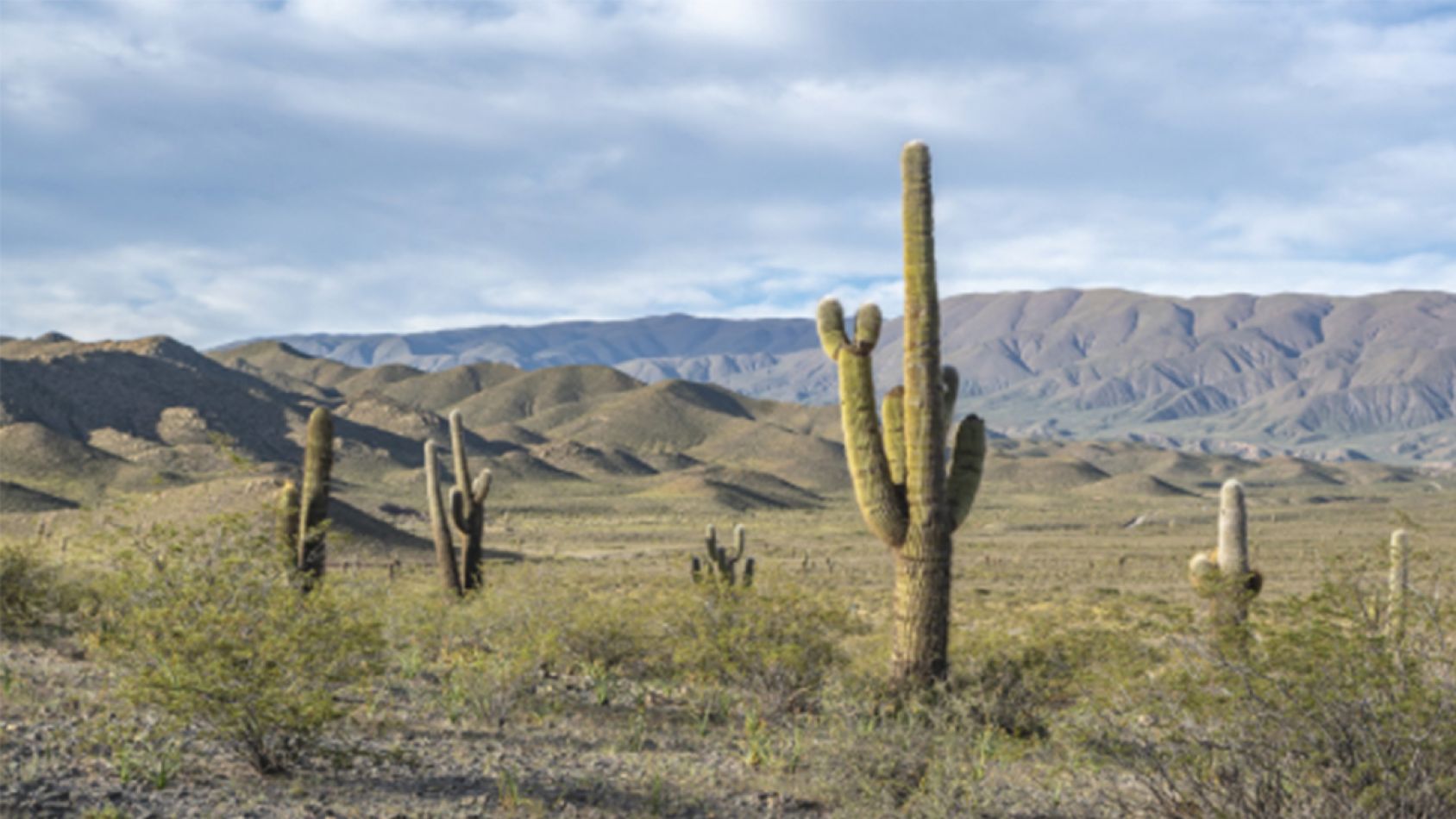 Blog: Qué hacer en Cachi, Cachi Salta | ESTILO DV